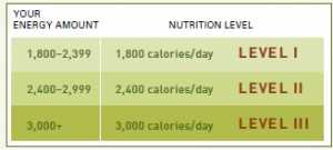 P90X Nutrition Plan Calculator - Tips You Should Know